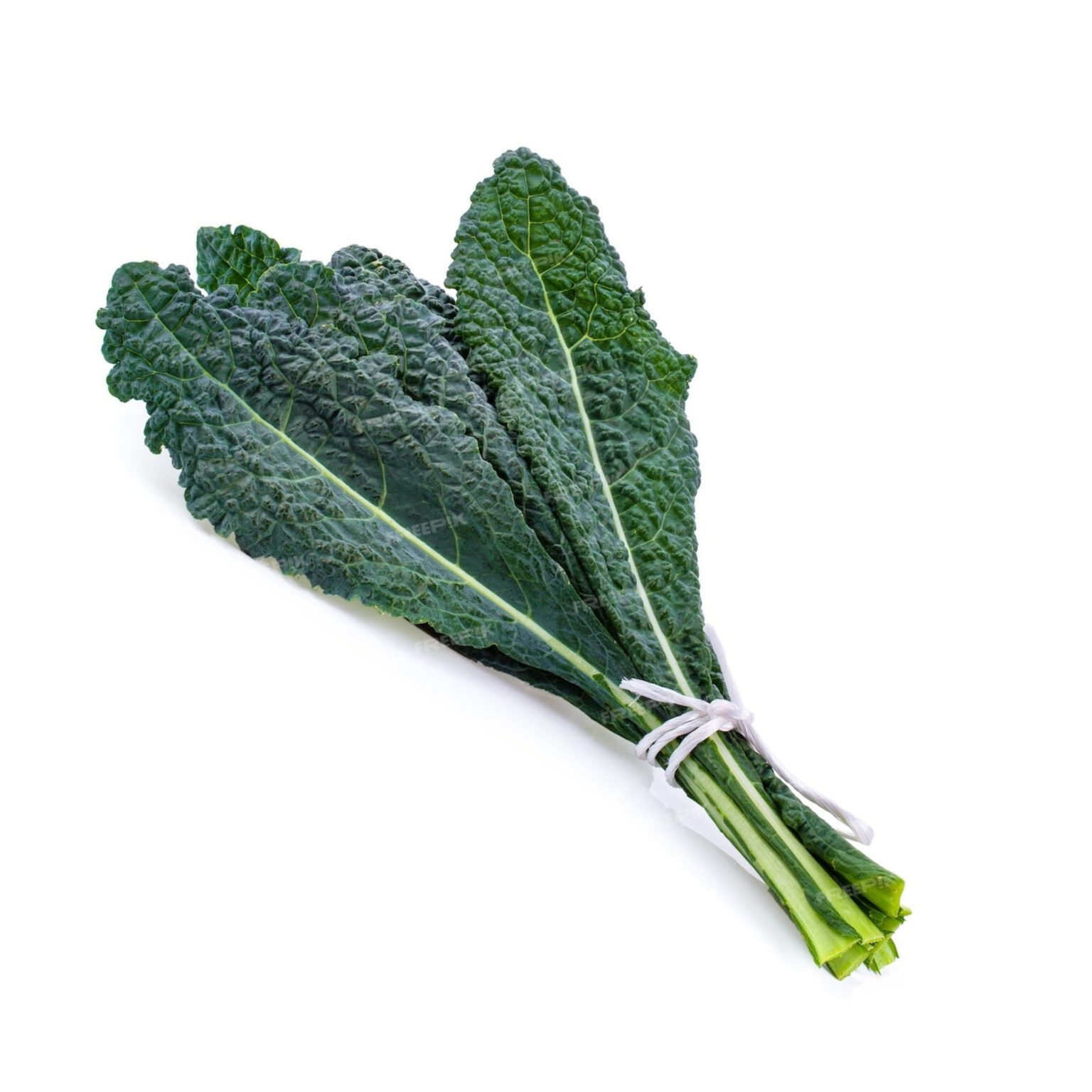 Kale Toscano - Agriplant